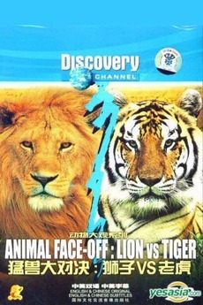 ‎Animal Face-Off: Lion vs. Tiger (2004) • Film + cast • Letterboxd
