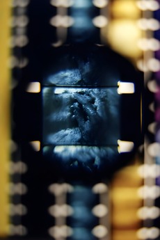 ‎Hardwood Process (1996) directed by David Gatten • Reviews, film ...