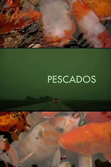 ‎The Fish (2010) directed by Lucrecia Martel • Reviews, film + cast ...