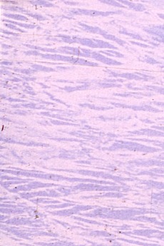 ‎Angels' (1971) directed by Stan Brakhage • Reviews, film + cast ...