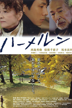 ‎Hameln (2013) directed by Tsubokawa Takushi • Film + cast • Letterboxd