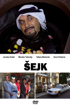 ‎Sheikh (2010) directed by Zuzana Zemanová-Hojdová • Film + cast ...