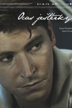 ‎Wingless (2009) directed by Ivo Trajkov • Film + cast • Letterboxd
