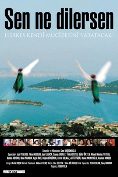 ‎Sen Ne Dilersen (2005) directed by Cem Baseskioglu • Reviews, film ...