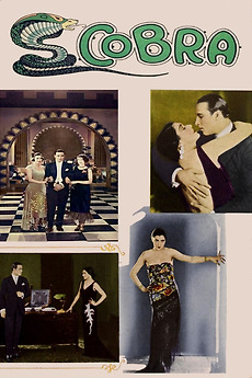 ‎Cobra (1925) directed by Joseph Henabery • Reviews, film + cast • Letterboxd