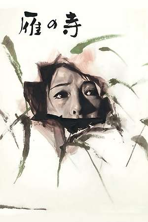 ‎Films starring Ayako Wakao • Letterboxd