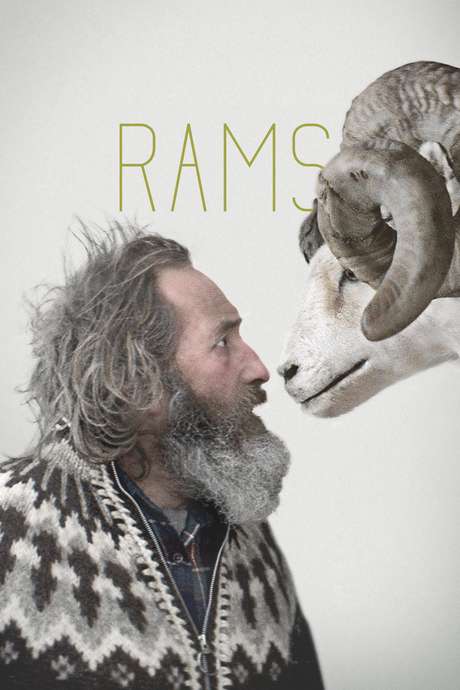 ‎Rams (2015) directed by Grímur Hákonarson • Reviews, film + cast ...