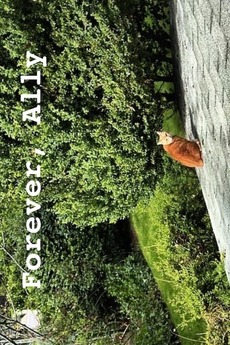 ‎Forever, Ally (2015) directed by Iyabo Boyd • Reviews, film + cast • Letterboxd