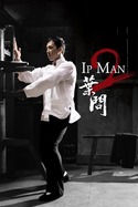 ip man films ranked
