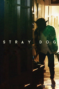 ‎Stray Dog (2013) directed by Bertie Gilbert • Reviews, film + cast ...