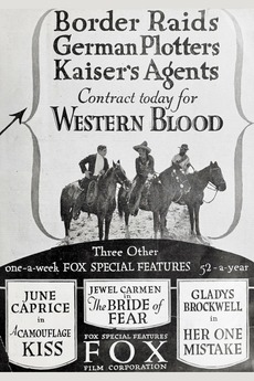‎Western Blood (1918) directed by Lynn Reynolds • Reviews, film + cast ...