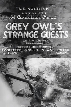 ‎Grey Owl's Strange Guests (1934) directed by Gordon Sparling • Reviews ...
