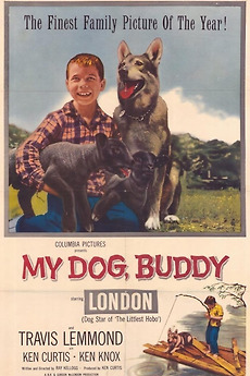 ‎My Dog, Buddy (1960) directed by Ray Kellogg • Reviews, film + cast ...