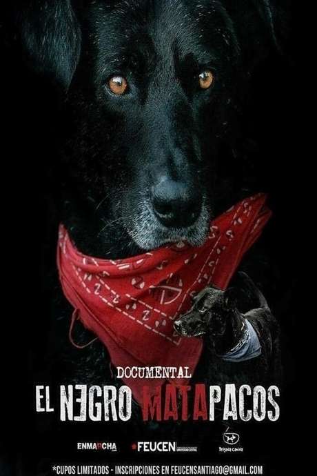 ‎Matapaco (2013) directed by Víctor Ramírez • Reviews, film + cast ...