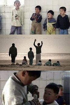 ‎Wild Grass (2009) directed by Yang Lina • Film + cast • Letterboxd