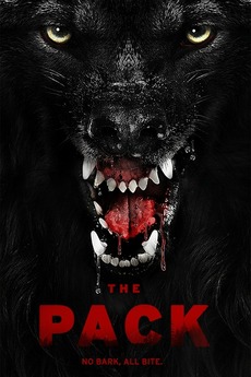 ‎The Pack (2015) directed by Nick Robertson • Reviews, film + cast ...