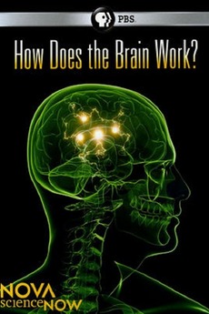 ‎NOVA scienceNOW: How Does The Brain Work? • Film + cast • Letterboxd