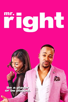 ‎Mr. Right (2015) directed by Roger Melvin • Reviews, film + cast ...
