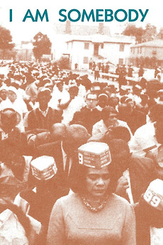 ‎Celebrate Black History - Criterion Channel Black History Month 2026 ...