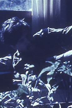 ‎Films by Stan Brakhage: An Avant-Garde Home Movie (1961) directed by ...