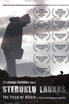 ‎The Field of Magic (2011) directed by Mindaugas Survila • Reviews ...