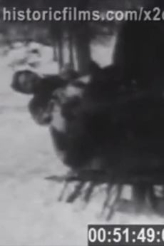 ‎Capture of the Biddle Brothers (1902) directed by Edwin S. Porter ...