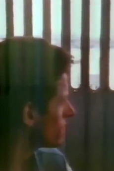 ‎The Blue Nile - Flags and Fences (1990) directed by Bernard Rudden ...
