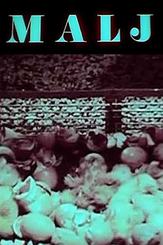 ‎The Mallet (1977) directed by Aleksandar Ilić • Reviews, film + cast ...