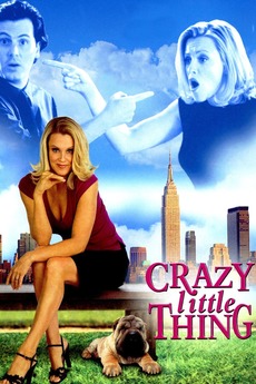 ‎The Perfect You (2002) directed by Matthew Miller • Reviews, film ...