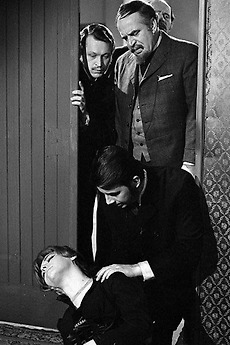 ‎Count Dracula (1971) directed by Anna Procházková • Reviews, film ...