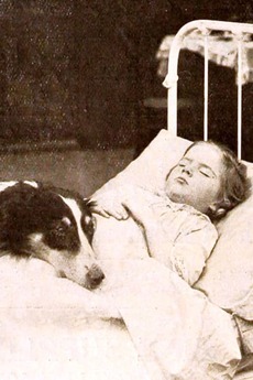 ‎Playmates (1912) • Reviews, film + cast • Letterboxd