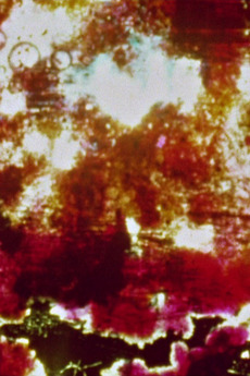 ‎Eye Myth Educational (1972) directed by Stan Brakhage • Reviews, film ...