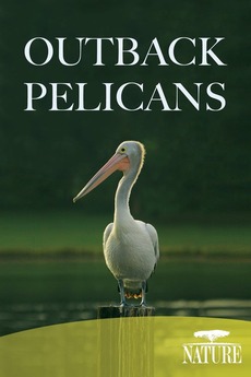 ‎Outback Pelicans (2011) directed by Susan McMillan • Film + cast ...