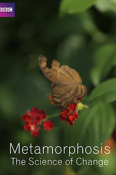‎Metamorphosis: The Science of Change (2013) directed by David Briggs ...