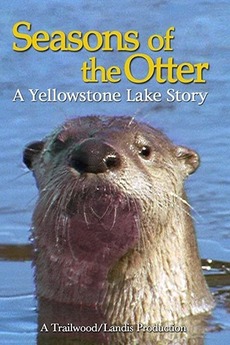 ‎Seasons of the Otter (2009) • Film + cast • Letterboxd