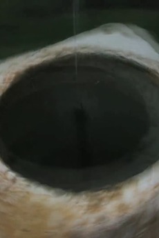 ‎Stone Moss (2008) directed by Leighton Pierce • Reviews, film + cast ...