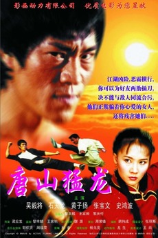 ‎Dragon the Master 2 (2002) directed by Kant Leung Wang-Fat • Reviews ...
