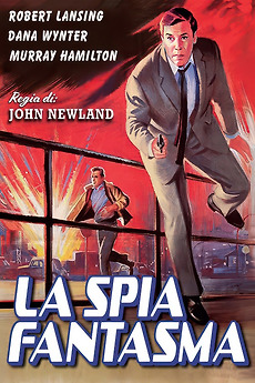 faces 1968 letterboxd