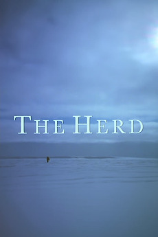 ‎The Herd (1998) directed by Peter Lynch • Film + cast • Letterboxd