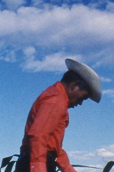 ‎Anselmo and the Women (1986) directed by Chick Strand • Reviews, film ...