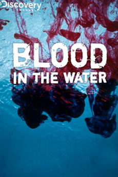 ‎Blood in the Water (2009) directed by Richard Bedser • Reviews, film ...