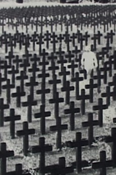 ‎Miserere (1979) directed by Antoni Miralda, Benet Rossell • Reviews ...