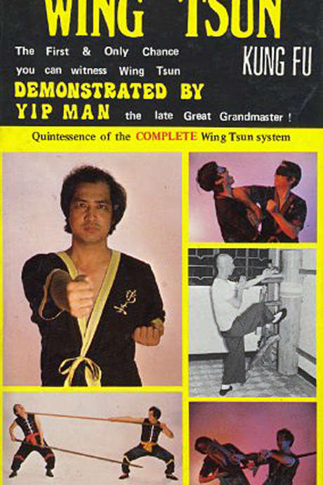 ‎Authentic Wing Tsun Kung Fu: Demonstrated By Yip Man (1984) directed ...
