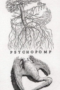 ‎Psychopomp (2016) directed by Loni Paone, Cooper Vacheron • Reviews ...