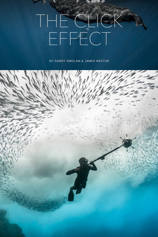 ‎Click Effect (2016) directed by Sandy Smolan, James Nestor • Film ...