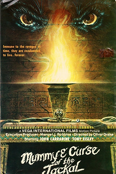 ‎Bright Lights showdown, a list of films by Josias Troyer • Letterboxd