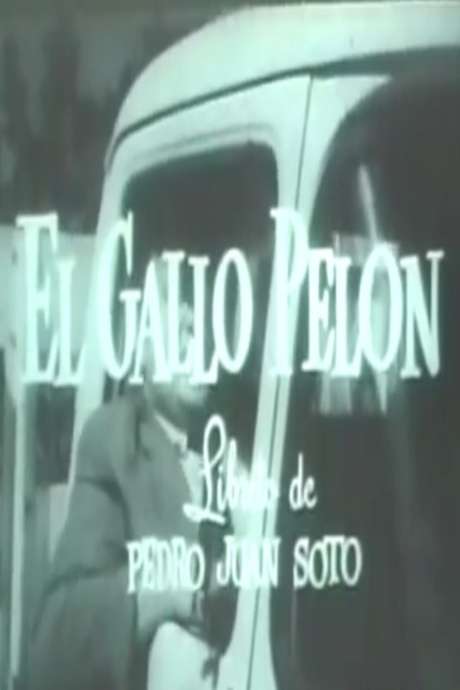 ‎El gallo pelón (1961) directed by Amílcar Tirado • Reviews, film ...