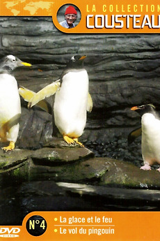 ‎The Cousteau Collection N°4-2 | The Flight of the Penguin (1974 ...