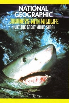 ‎Hunt for the Great White Shark (1994) • Film + cast • Letterboxd