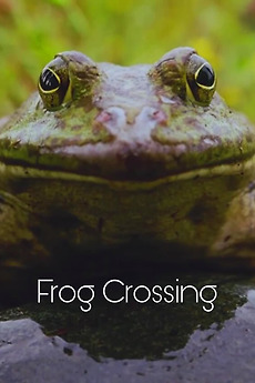 ‎Frog Crossing (1996) directed by Jamie Babbit, Ari Gold • Reviews ...